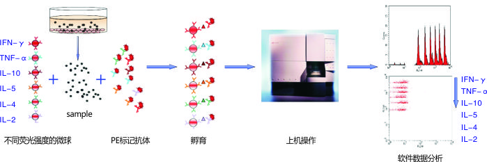 CBA：流式液相多重蛋白定量技术_公司新闻_丁香通
